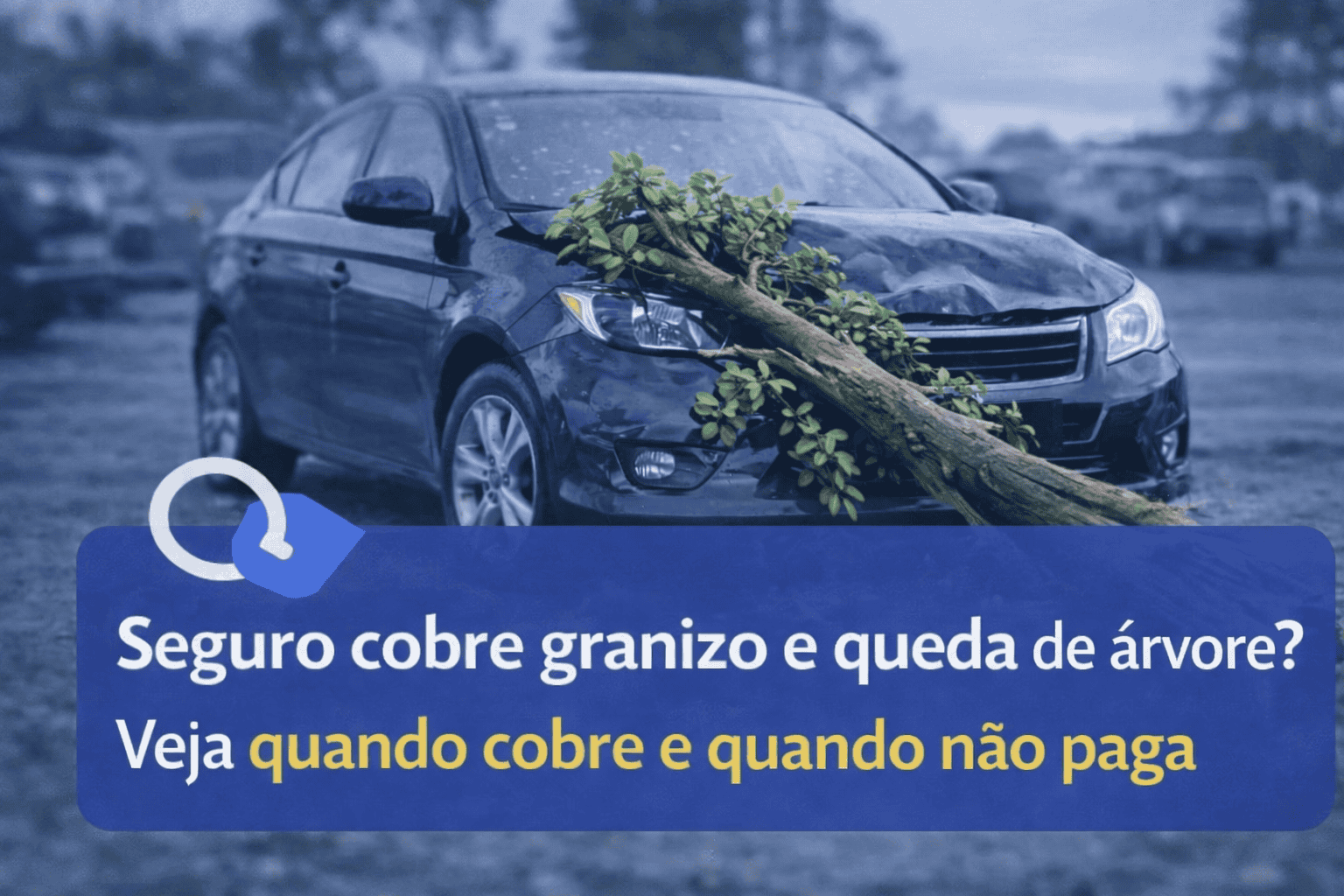Seguro cobre granizo e queda de árvore?